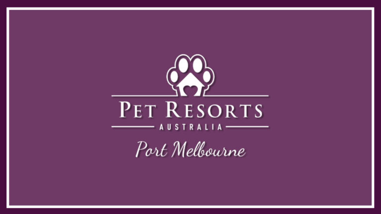 6 Dog Boarding Kennels in Melbourne That Pamper Pups [2026 ]