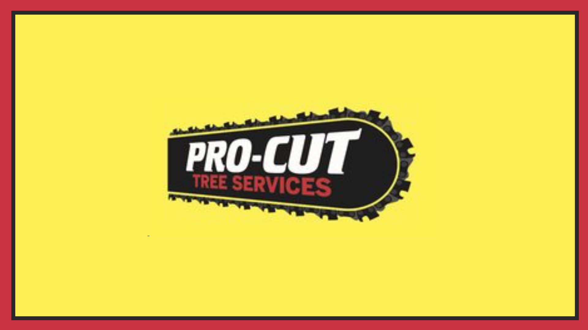 5 Tree Services in Melbourne for Safe and Healthy Trees [2026]