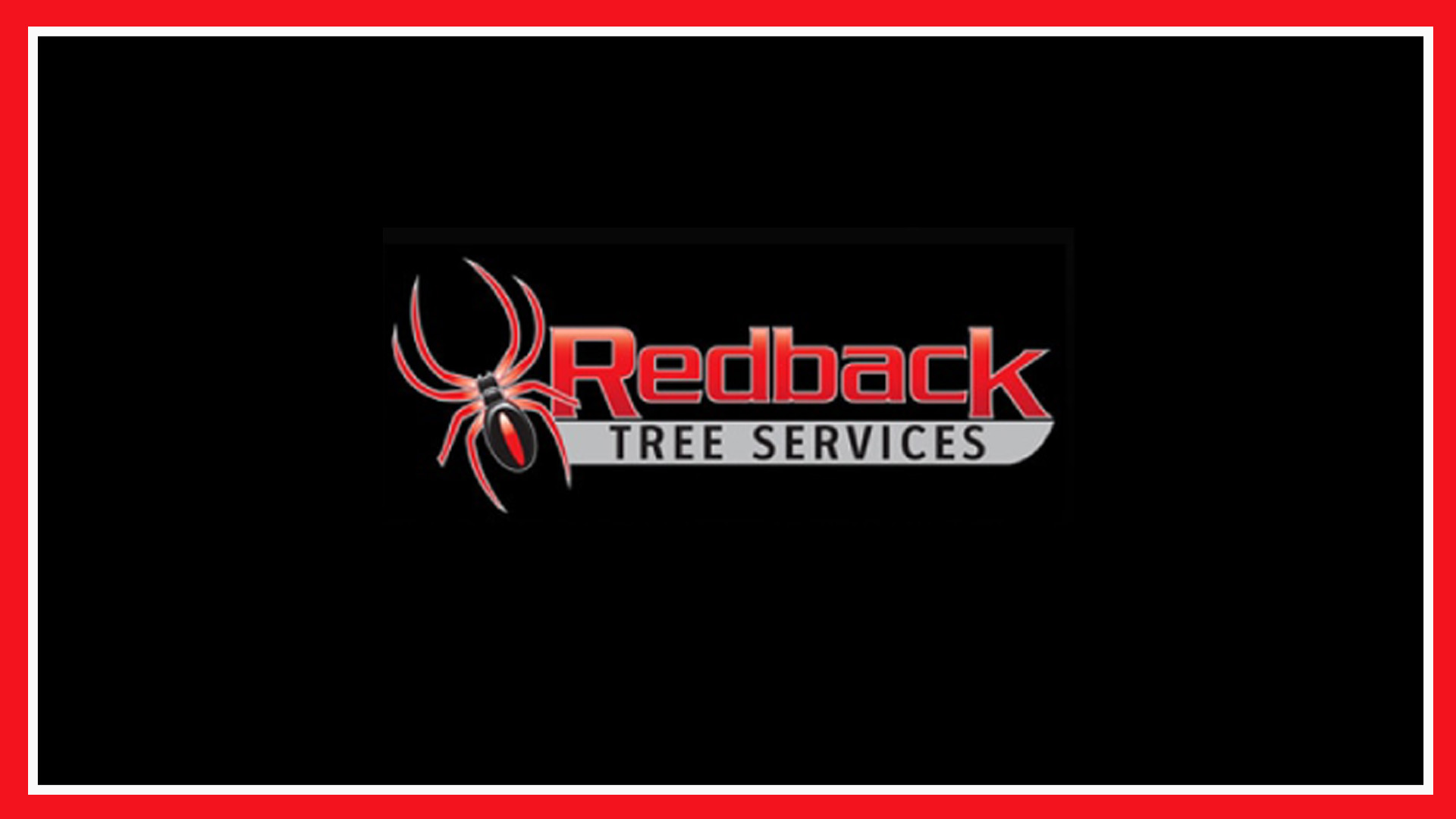 5 Tree Services in Melbourne for Safe and Healthy Trees [2025]