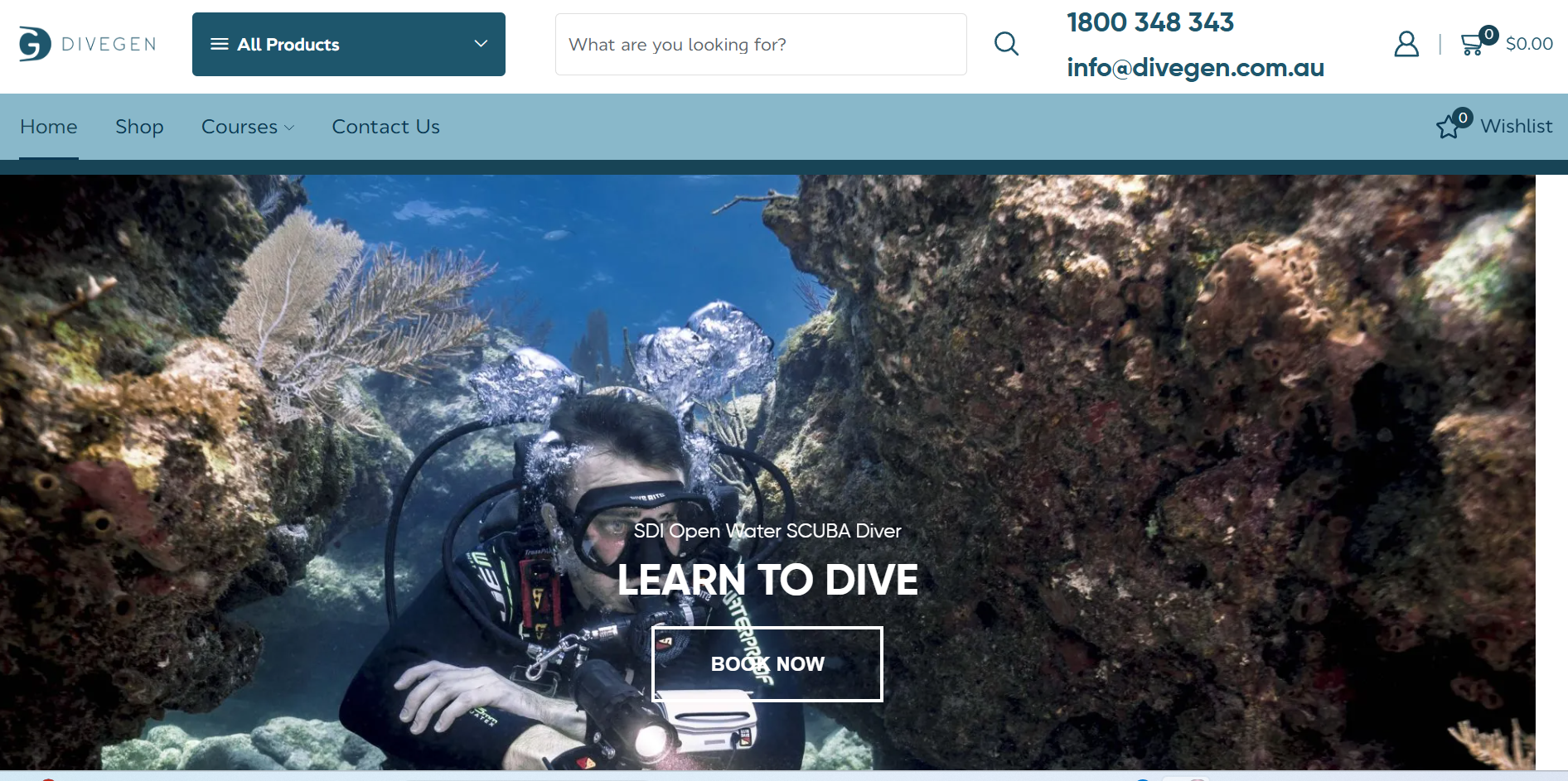 Find Nemo at Melbourne’s 15 Best Scuba Diving Spots