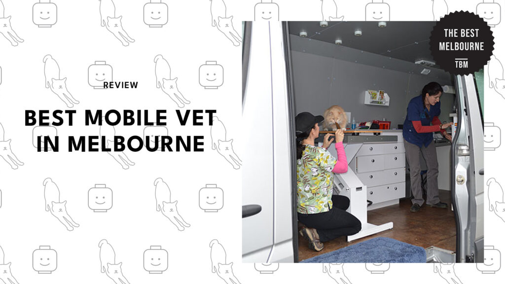 Top 5 mobile vet in Melbourne for every anxious pet owner [2026 ]